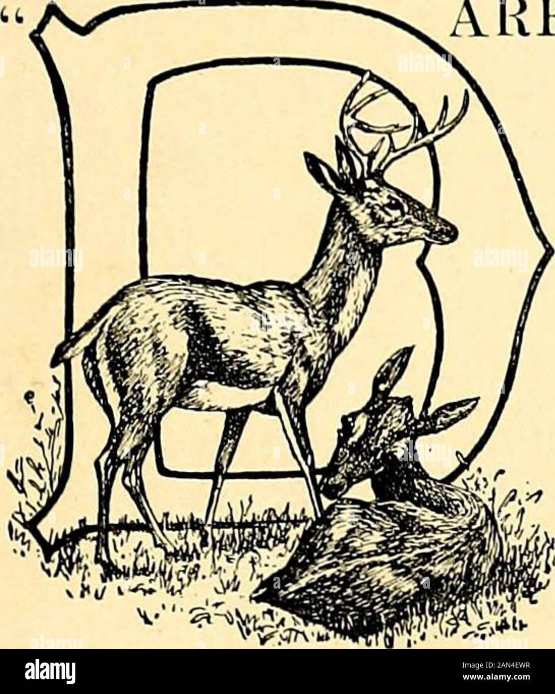 The wounded deer hi-res stock photography and images - Alamy