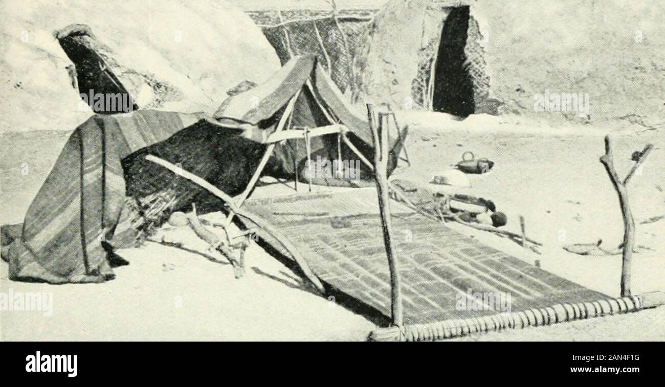 Transverse threads hi-res stock photography and images - Alamy