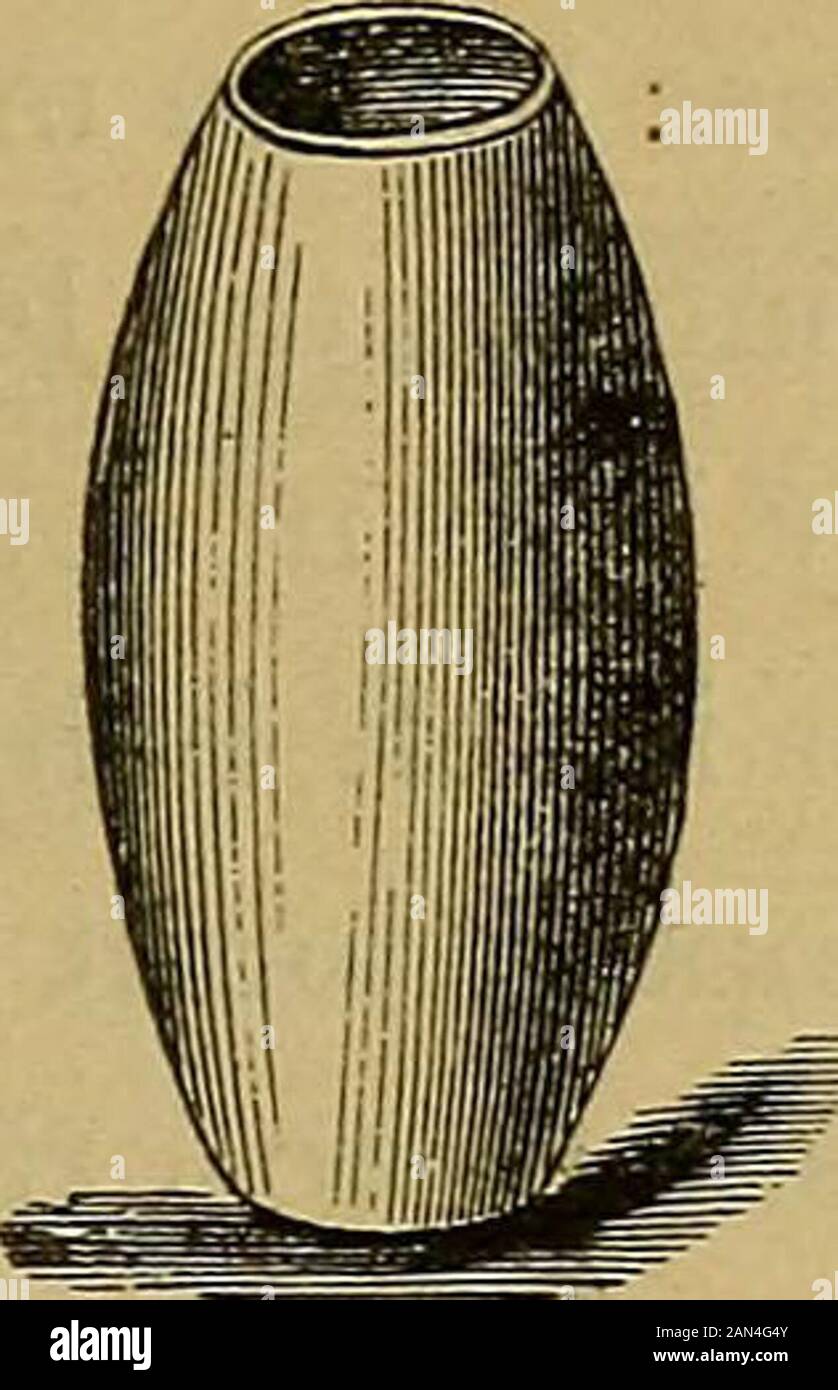 The silversmith's handbook : containing full instructions for the ...