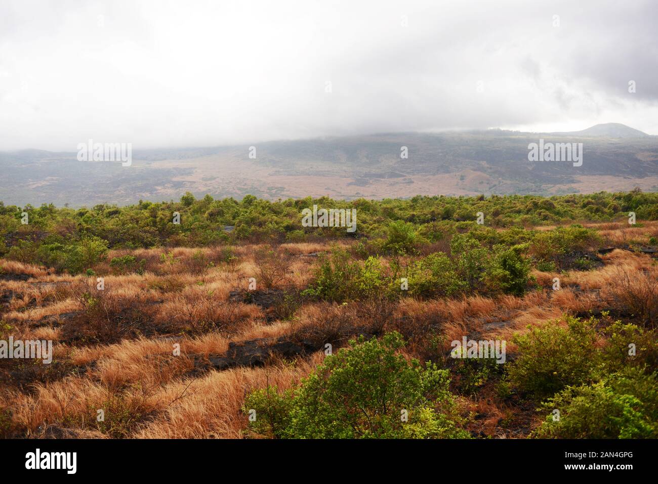 Comore islands hi-res stock photography and images - Alamy