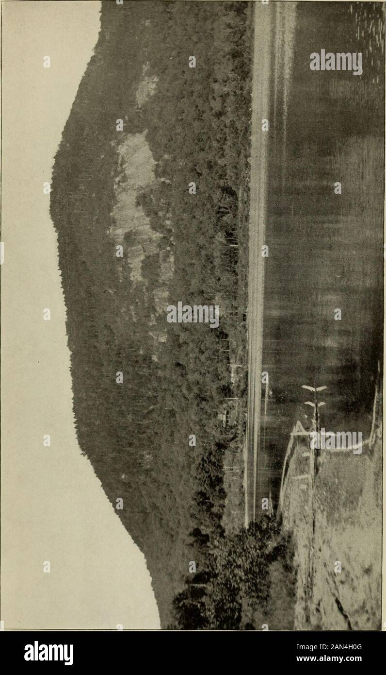 New York State Museum bulletin . ral and southern Xew York, the ...