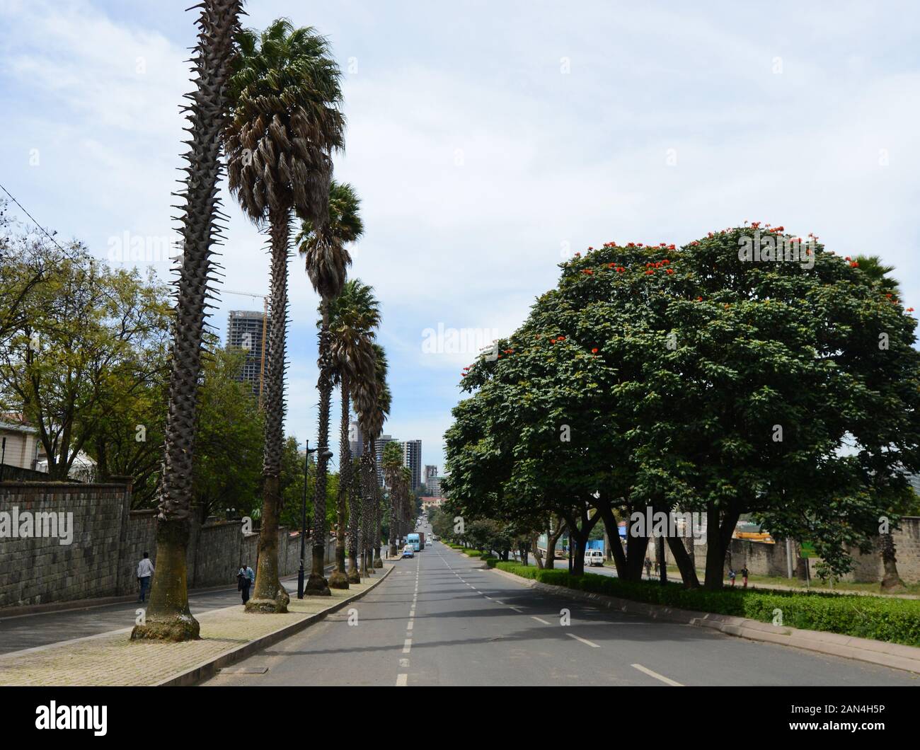 Taitu street in Addis Ababa, Ethiopia Stock Photo - Alamy