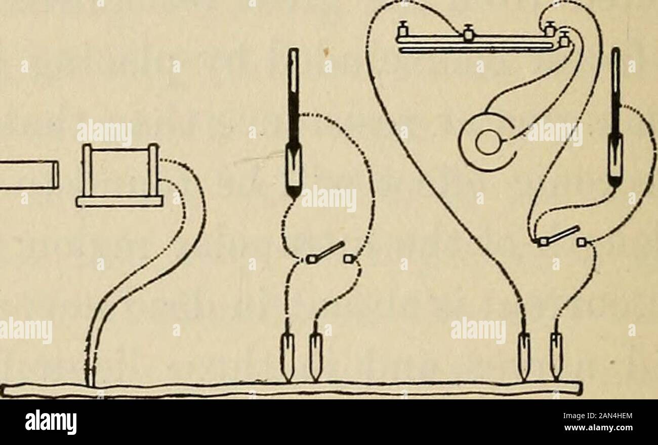 An introduction to physiology . those ligated between thepolarizing ...