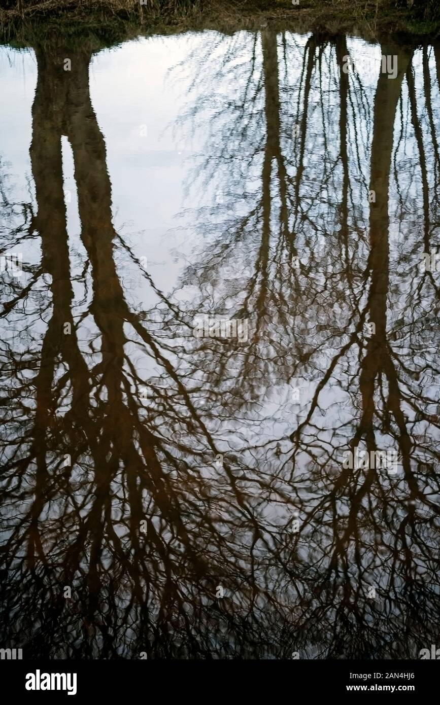 Reflections of trees in flowing river against a blue sky background ...