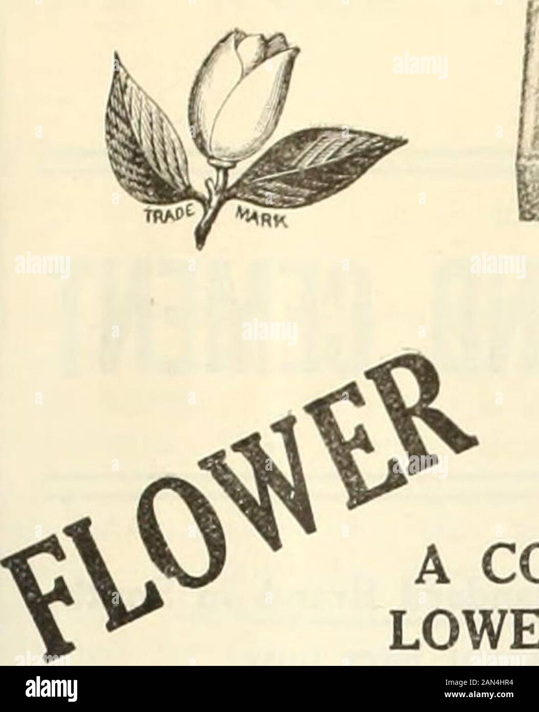 Greene Tweed High Resolution Stock Photography and Images - Alamy