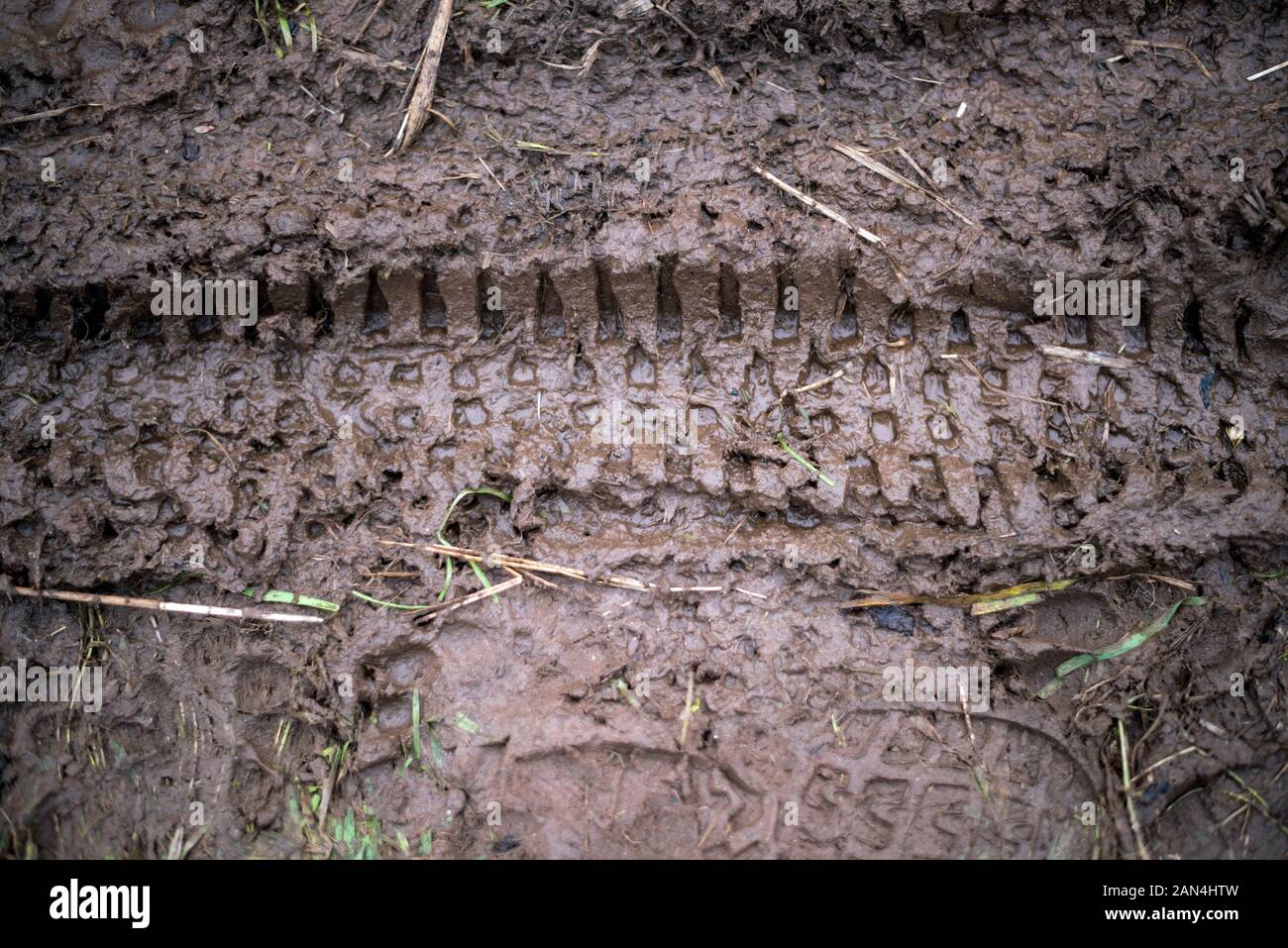 Boot print in mud hi-res stock photography and images - Alamy