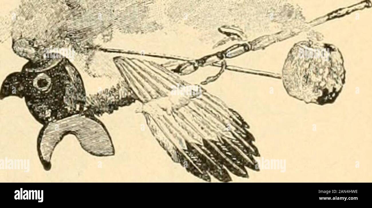 Athapascan hi-res stock photography and images - Alamy