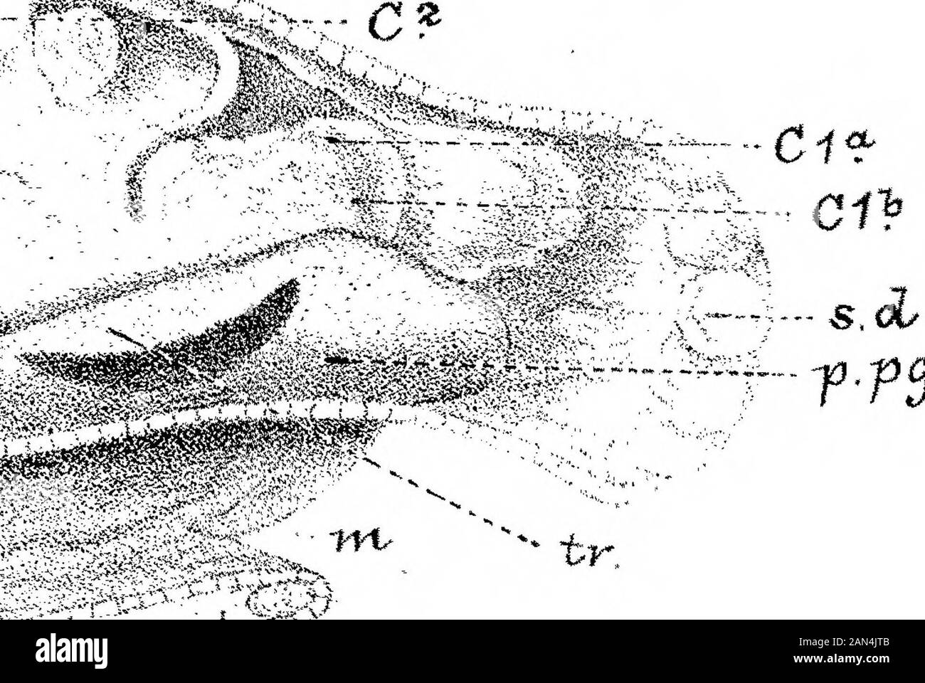 Yf 22 Black and White Stock Photos & Images - Alamy