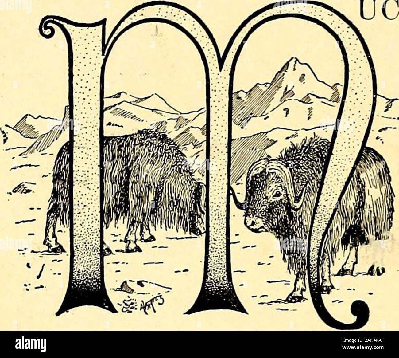 Dodo tree hi-res stock photography and images - Alamy