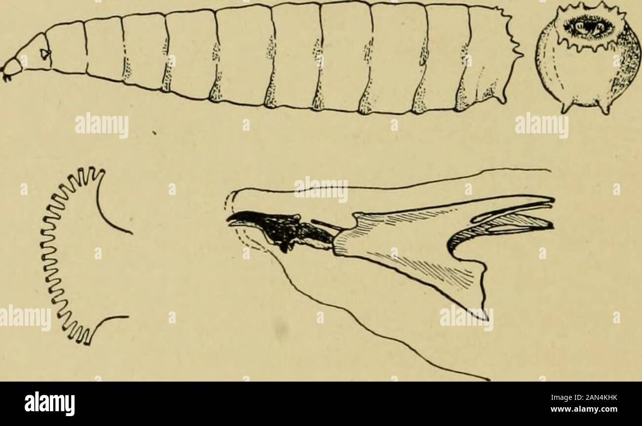 Delirium patient hi-res stock photography and images - Alamy