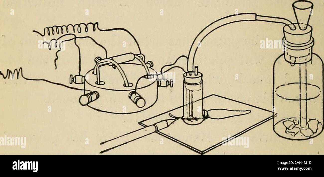 Muscle nerve endings hi-res stock photography and images - Alamy