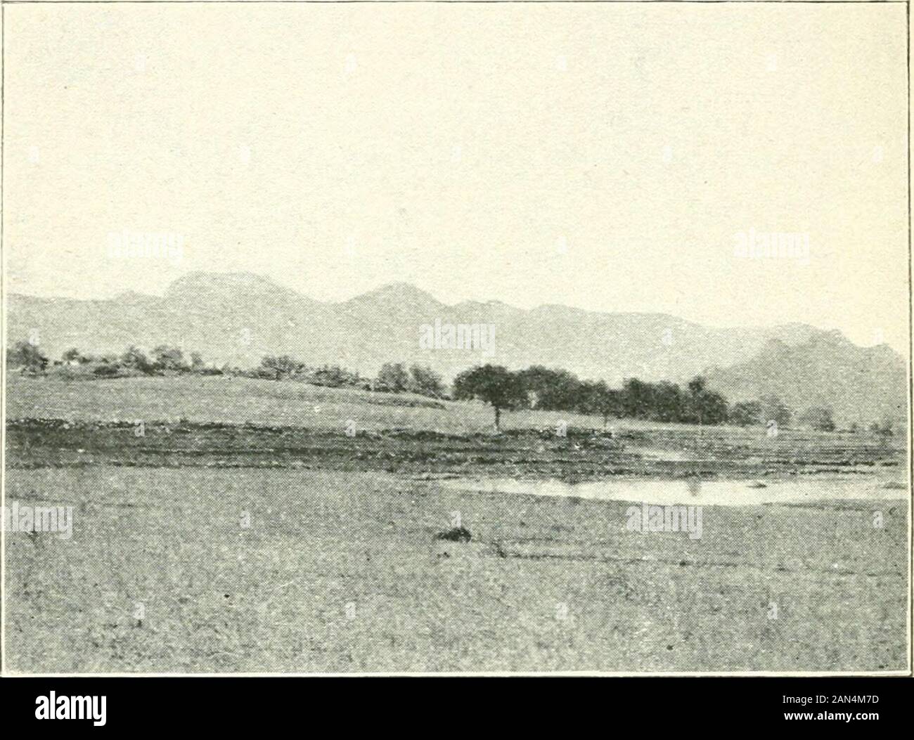 Loth ferry hi-res stock photography and images - Alamy