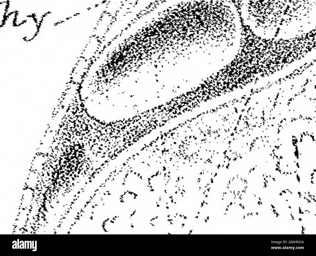 On the Development of the Skull in Lepidosteus osseus . ^ Xs ? cSW 1,1 ...
