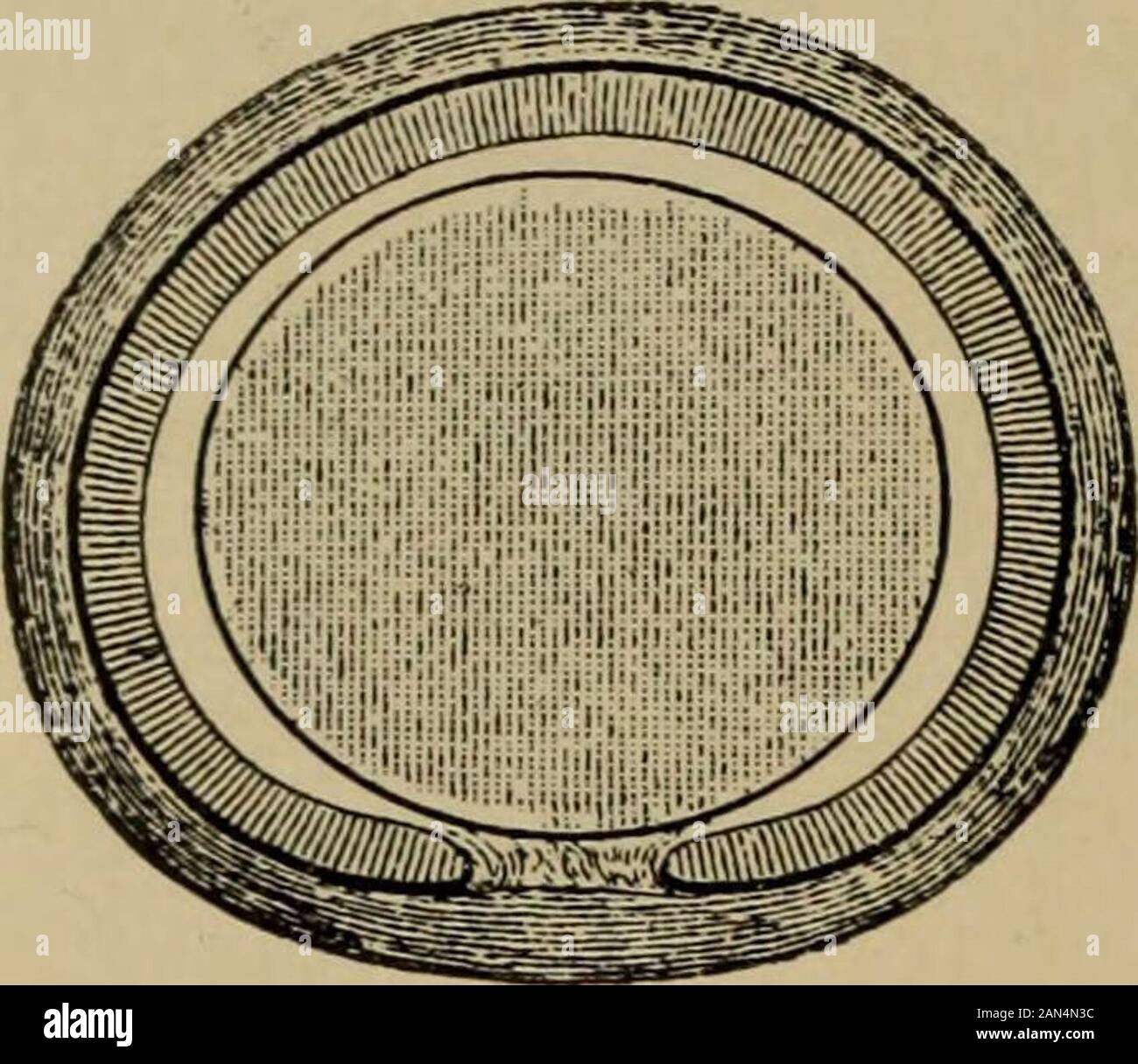 Text-book of ophthalmology . s becomes the coloboma, is closed simply ...