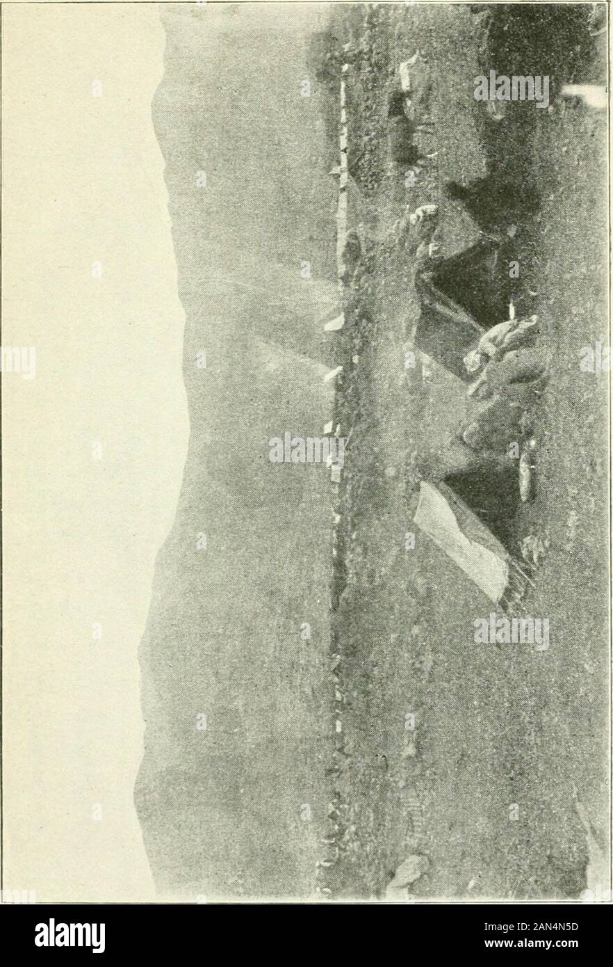 Chitral food hi-res stock photography and images - Alamy