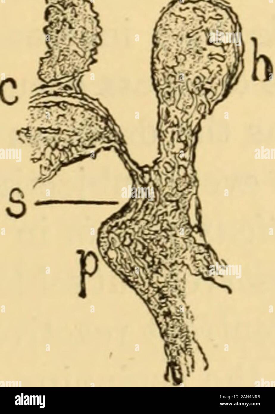 Thepromontory hi-res stock photography and images - Alamy