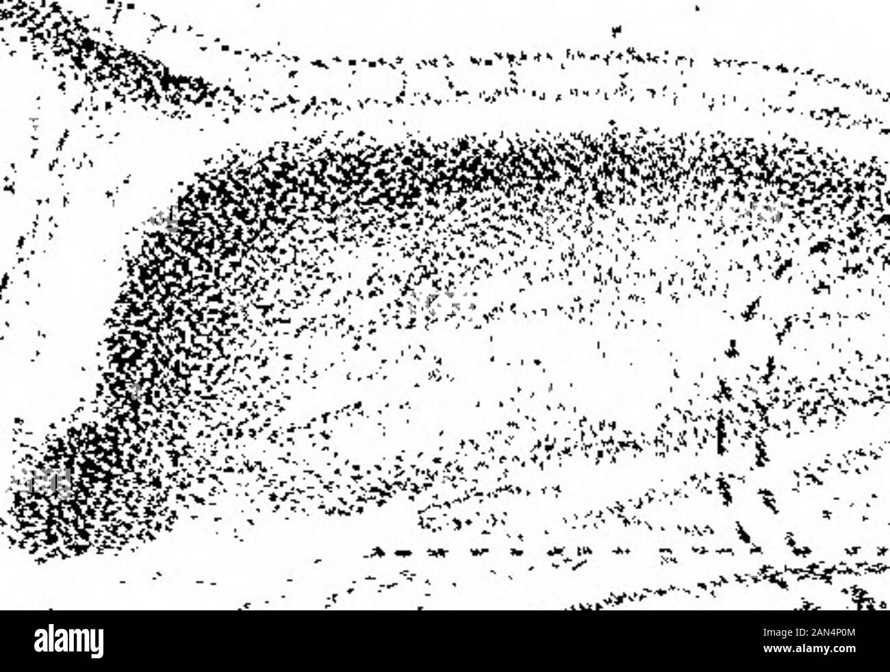 N o s pnl hi-res stock photography and images - Alamy