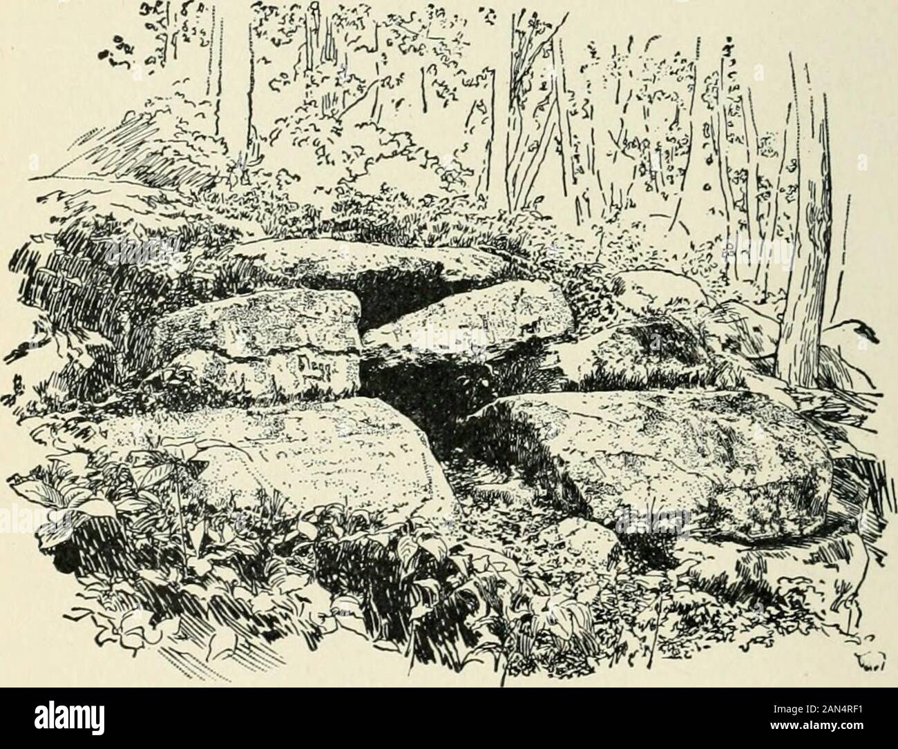 Roger gage hi-res stock photography and images - Alamy