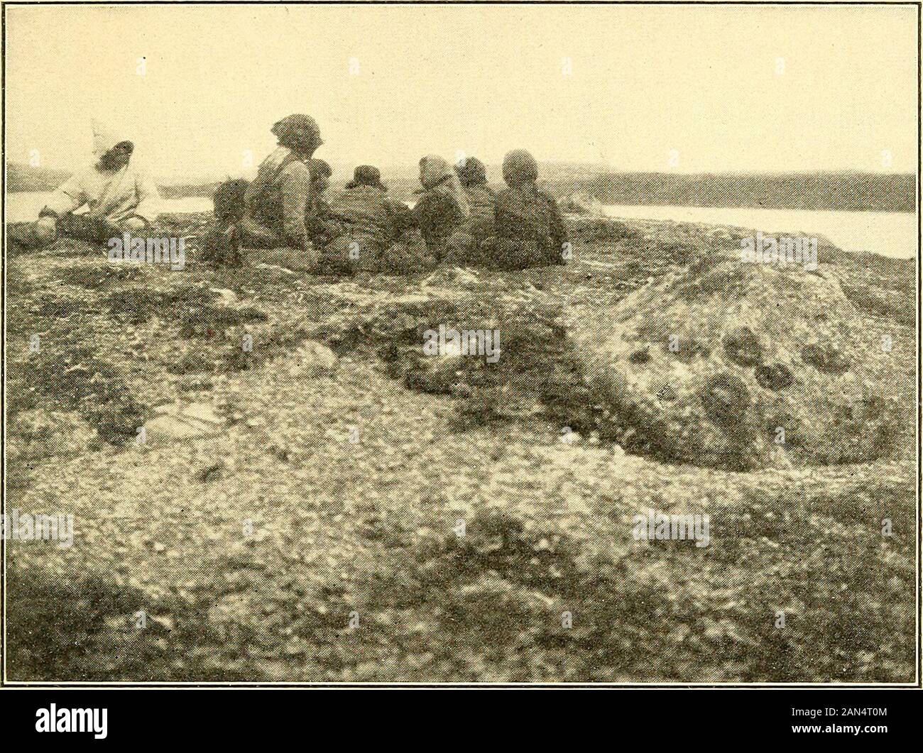 Least chub hi-res stock photography and images - Alamy