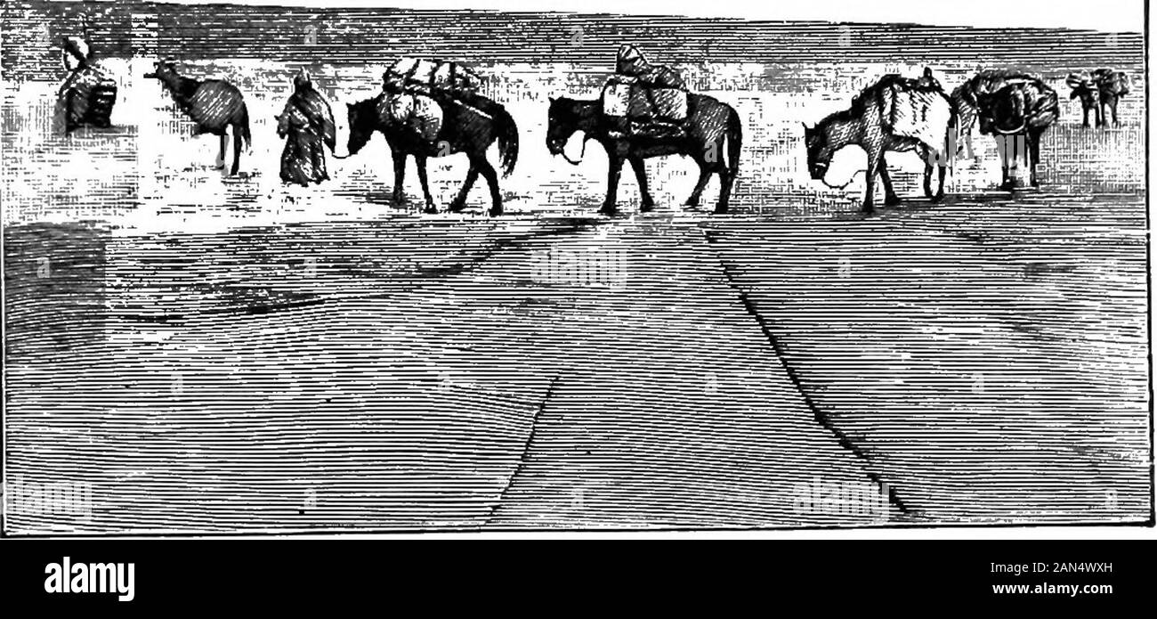 Types of irrigation Black and White Stock Photos & Images - Alamy