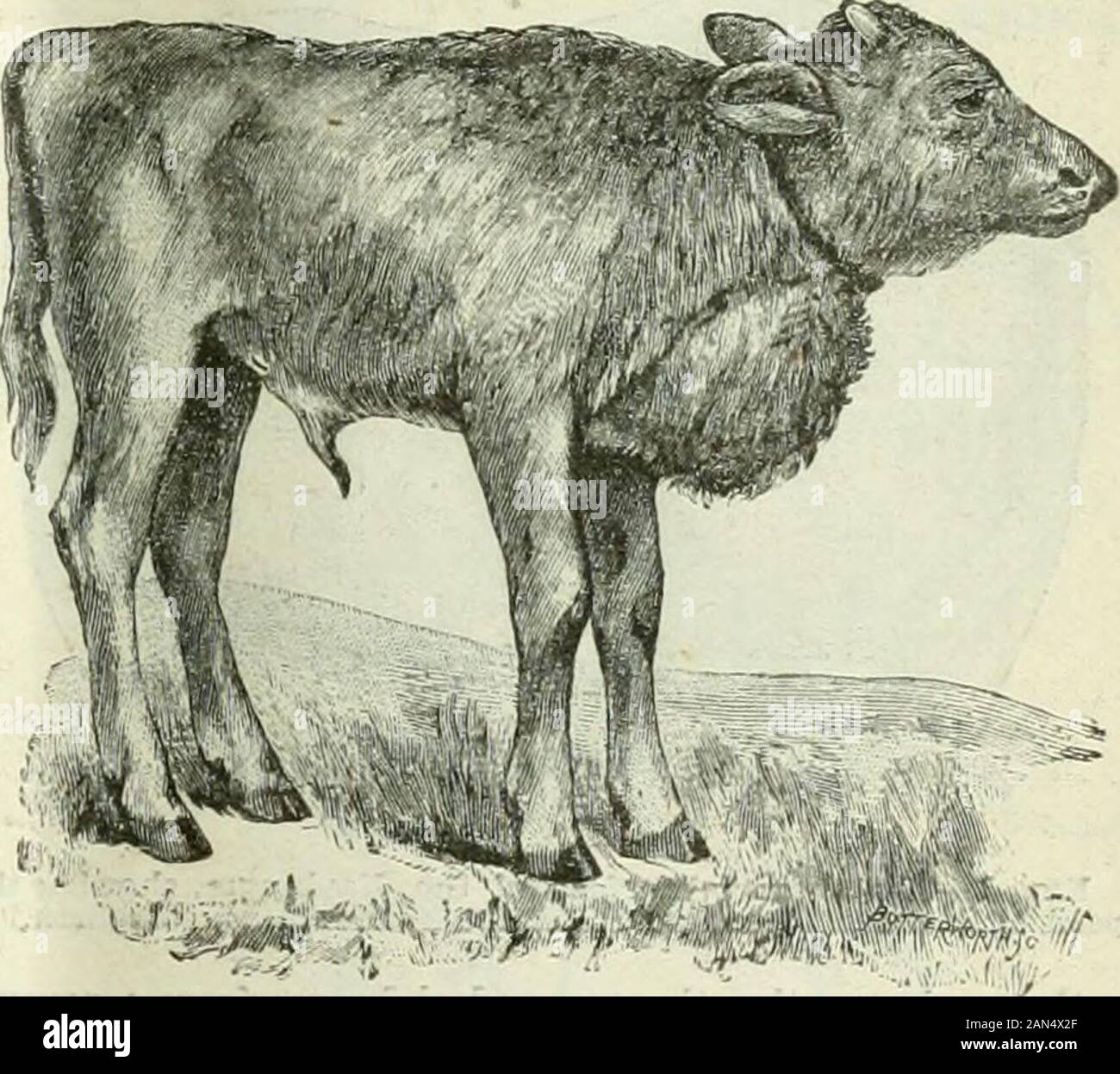 British medical journal . in spitoof the specialization that exists in ...