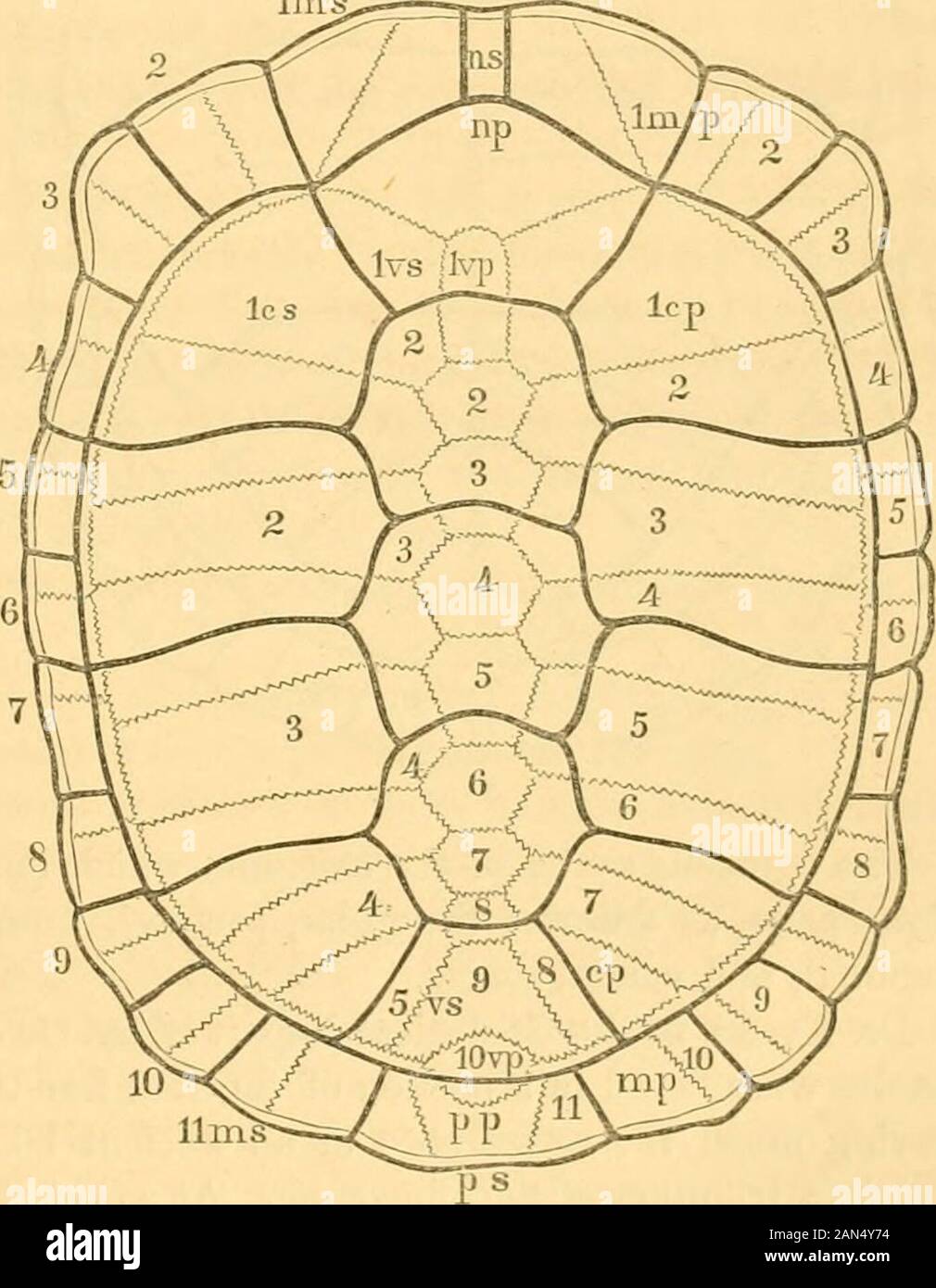 E 0 4 51 hi-res stock photography and images - Alamy