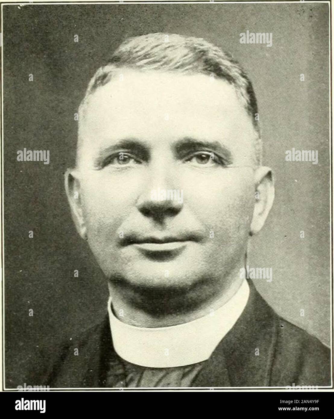 Ibir hi-res stock photography and images - Alamy