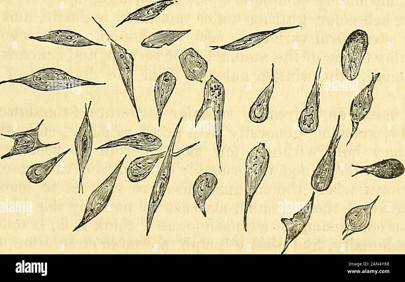 A system of surgery : pathological, diagnostic, therapeutic, and ...