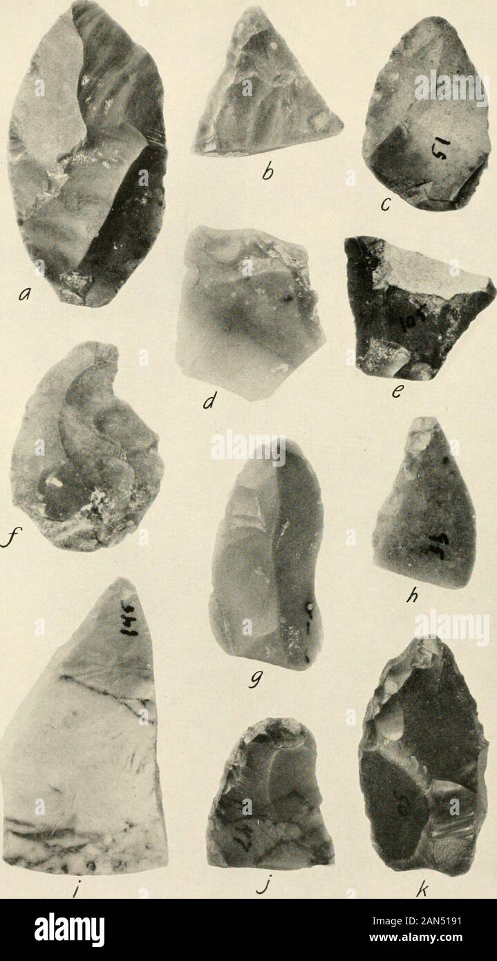 Smithsonian miscellaneous collections . End. Side, and Back Views of Snub-Nosed ScrapersActual ...
