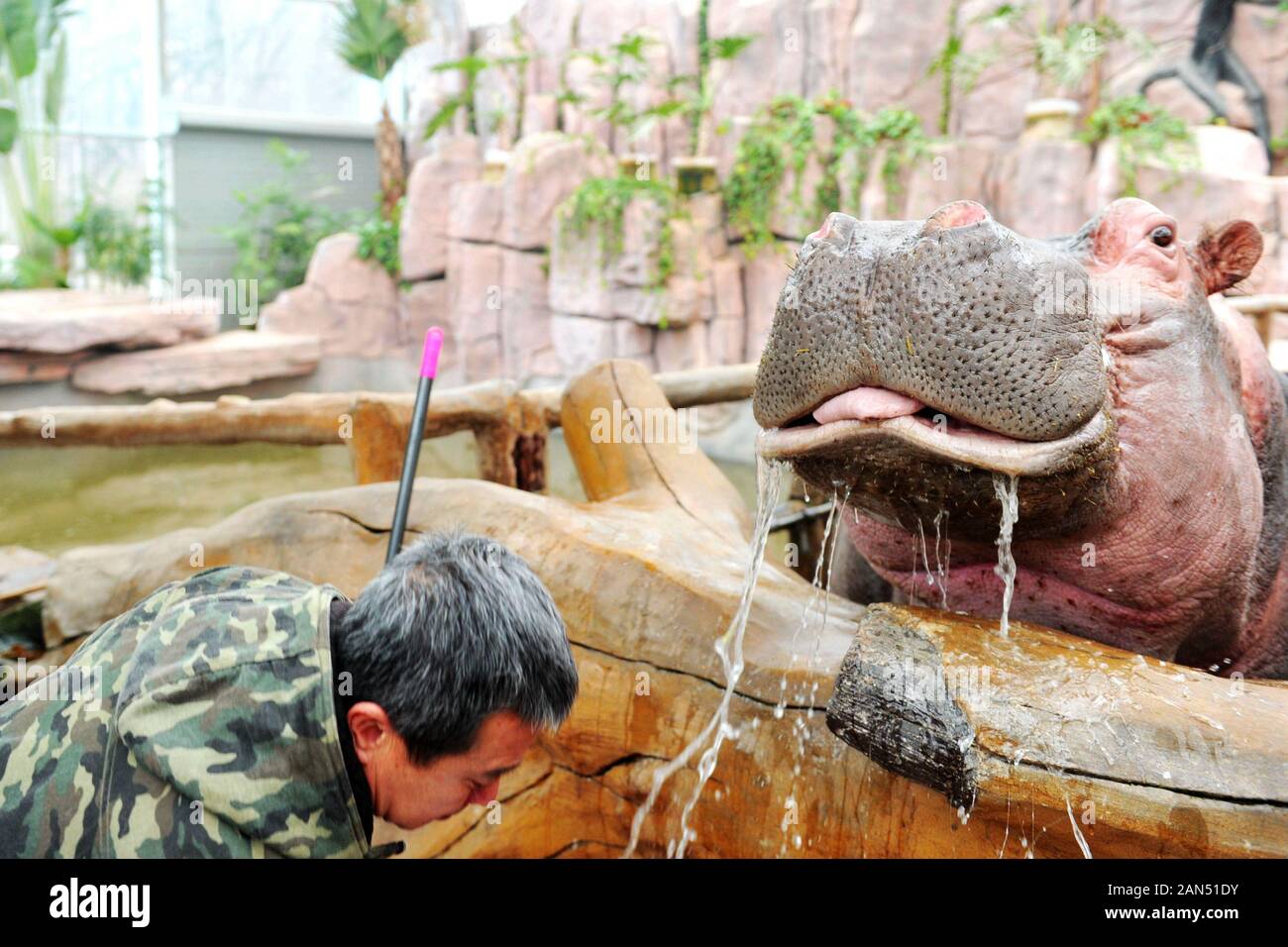 Zoo dentist hi-res stock photography and images - Alamy