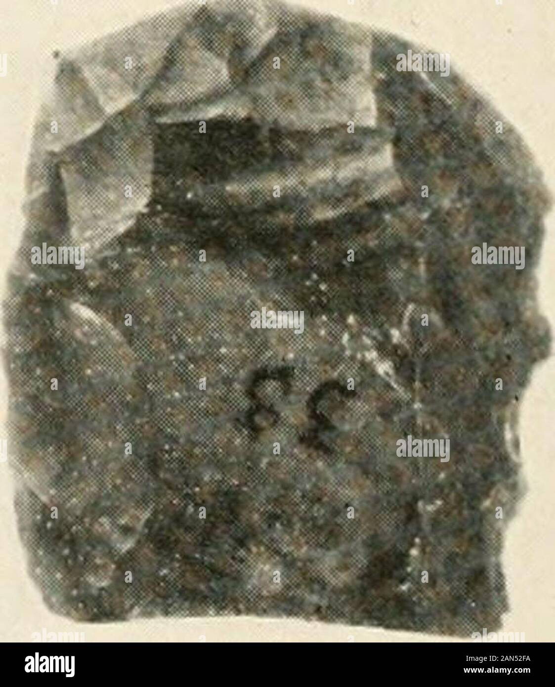 Smithsonian miscellaneous collections . Snub-Nosed Scrapers Actual size. SMITHSONIAN ...