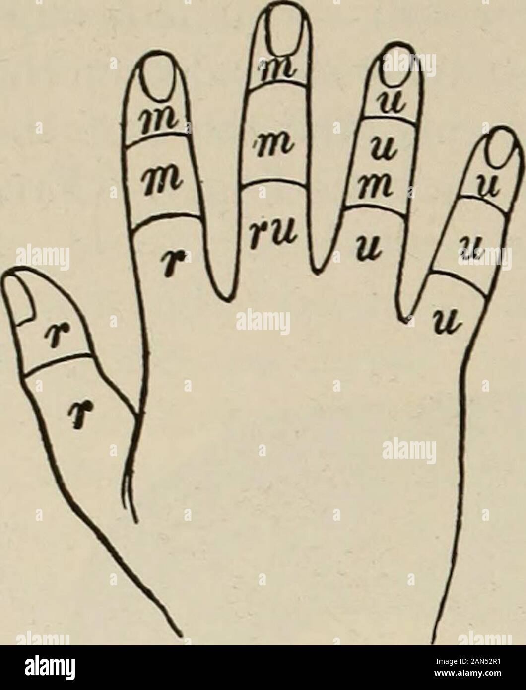 Proper wrist position hi-res stock photography and images - Alamy