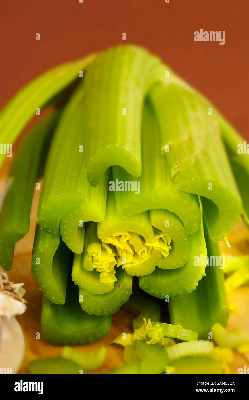 Vertical photograph of celery stalks showing detailed cross sections ...