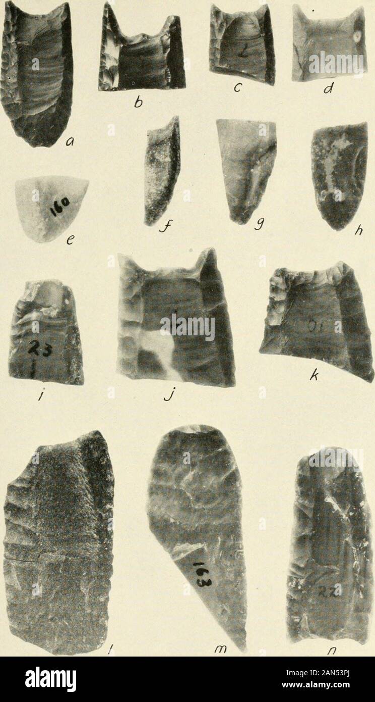 Smithsonian miscellaneous collections . yipili FRAGMENTS FROM FOLSOM ...