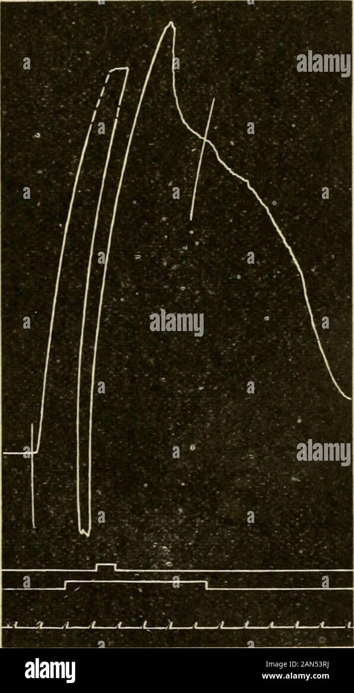 Reciprocal innervation hi-res stock photography and images - Alamy
