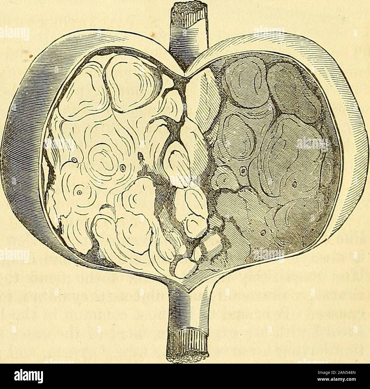 Compo ration hi-res stock photography and images - Alamy