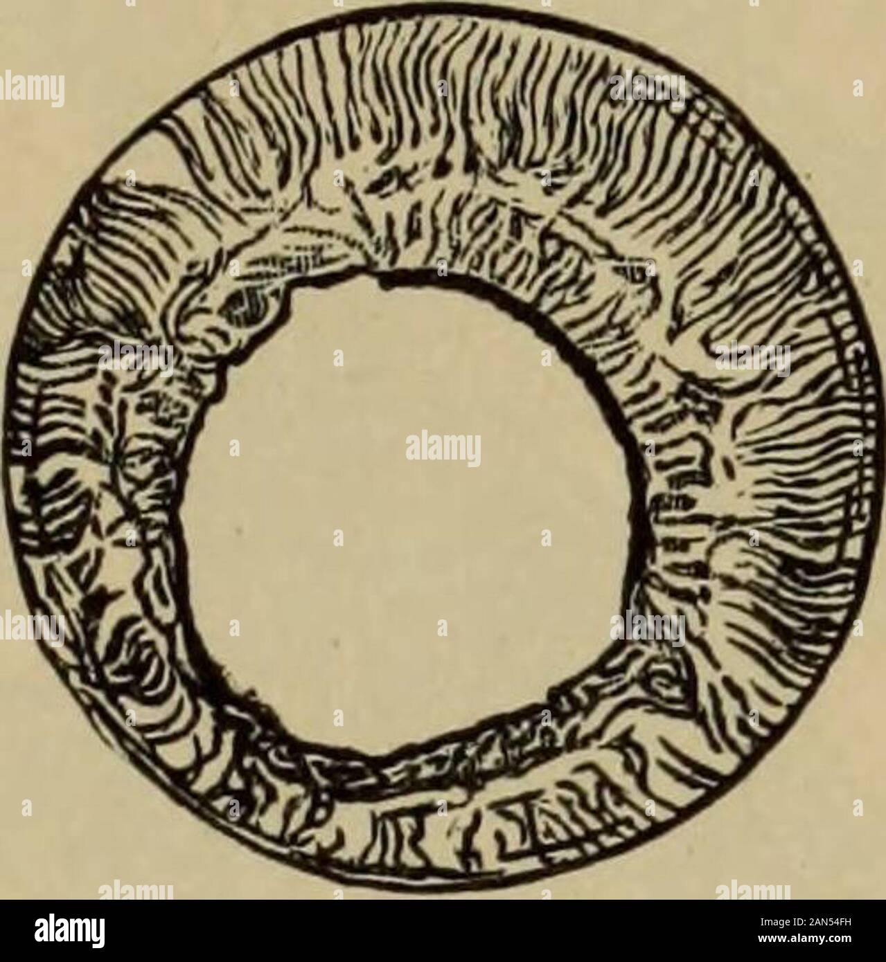 Laceration large hi-res stock photography and images - Alamy
