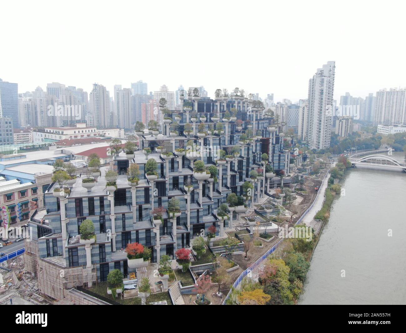 1000 trees shanghai hi-res stock photography and images - Alamy
