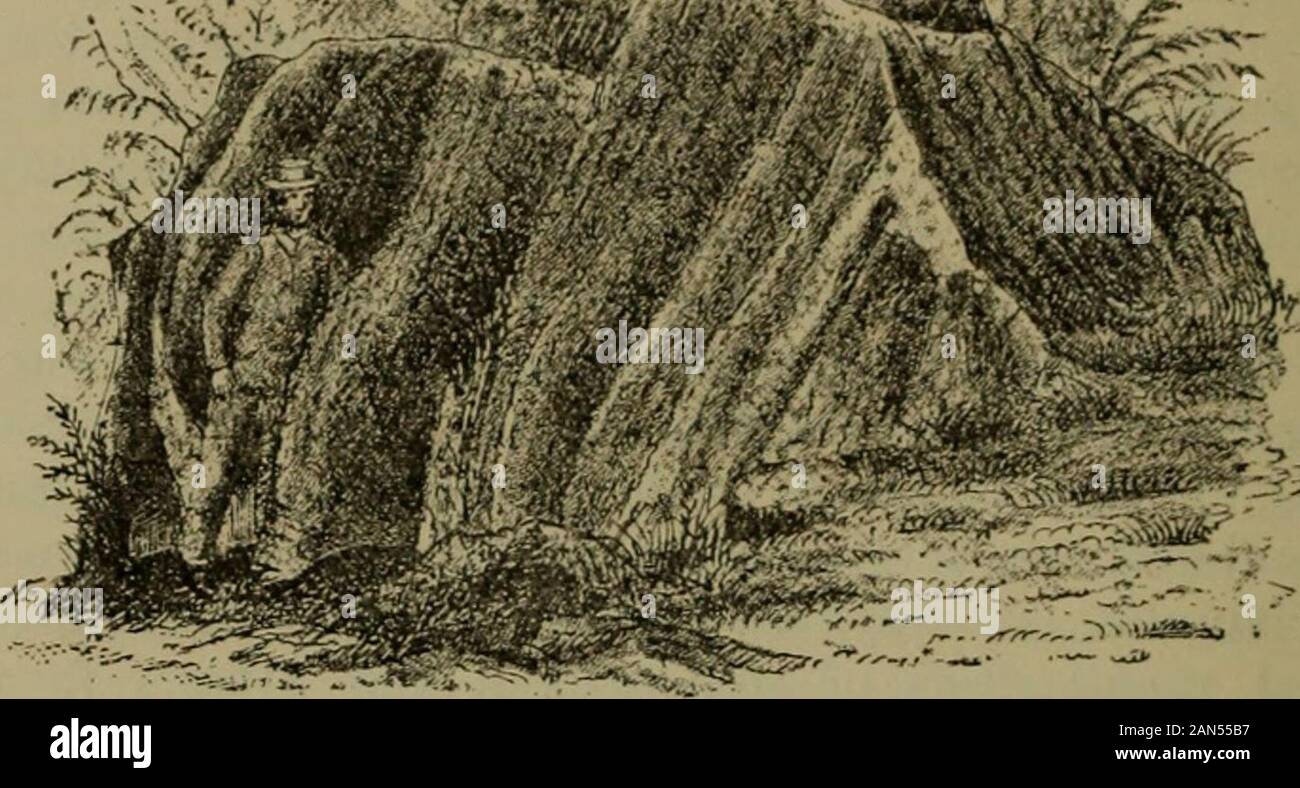 Nfusion hi-res stock photography and images - Alamy