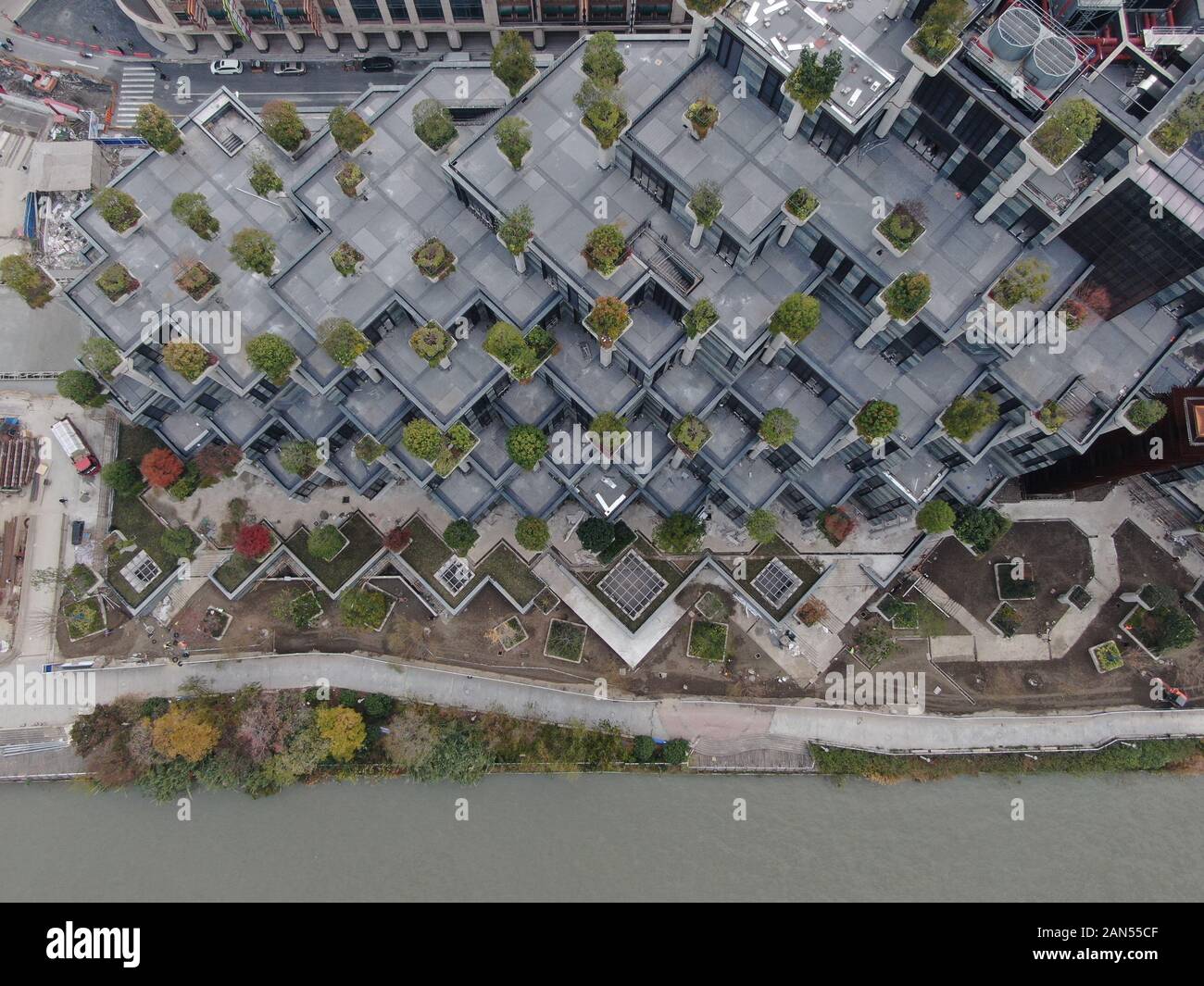 1000 trees shanghai hi-res stock photography and images - Alamy