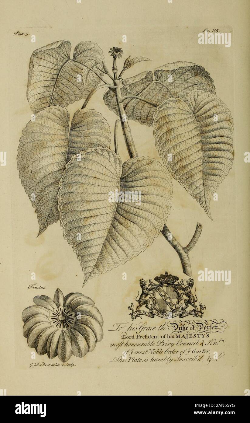 Cabbage tree point hi-res stock photography and images - Alamy