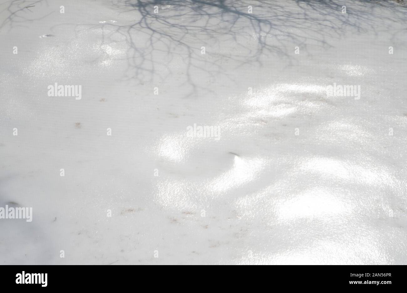 Frozen snow cold hi-res stock photography and images - Alamy