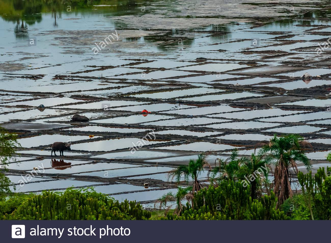 Evaporation Stock Photos & Evaporation Stock Images - Alamy