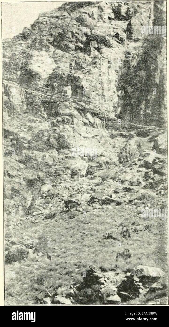 The Chitral campaign : a narrative of events in Chitral, Swat, and ...