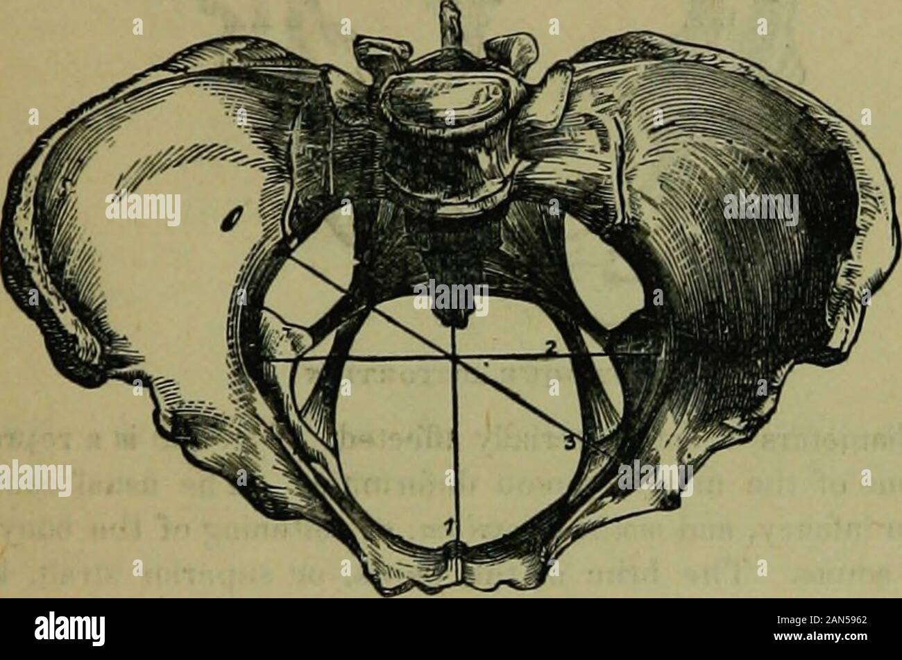 The hydropathic encyclopedia: a system of hydropathy and hygiene ...