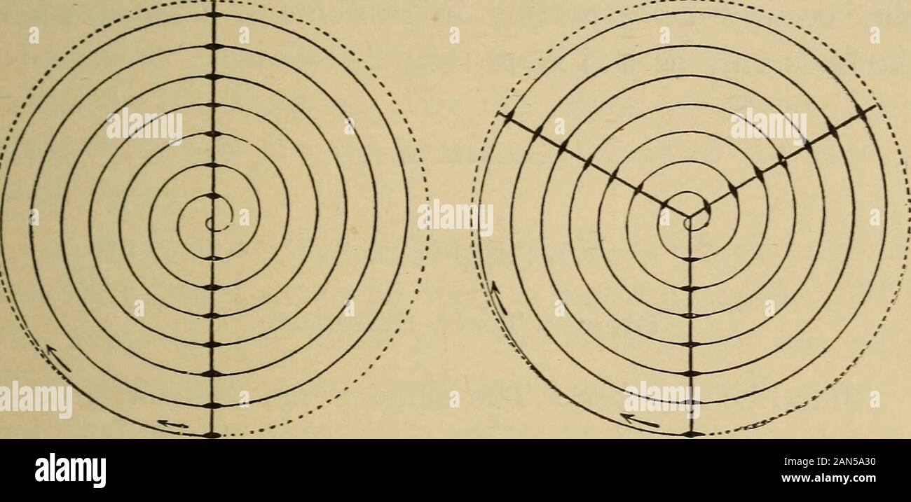 Circle of fifths hi-res stock photography and images - Alamy