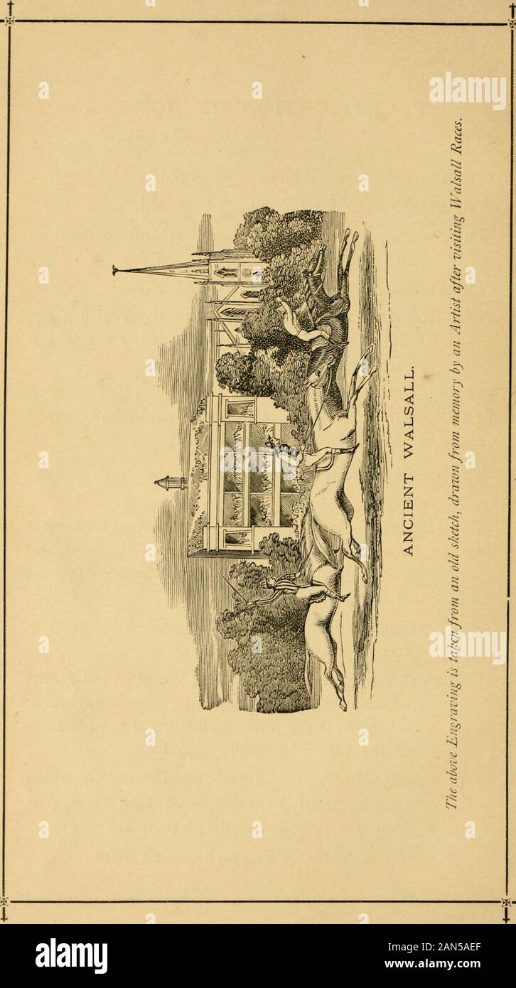 Smallest Pony High Resolution Stock Photography and Images - Alamy