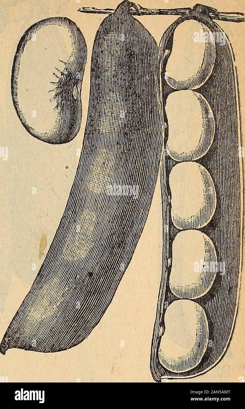 How to make a drill hi-res stock photography and images - Alamy