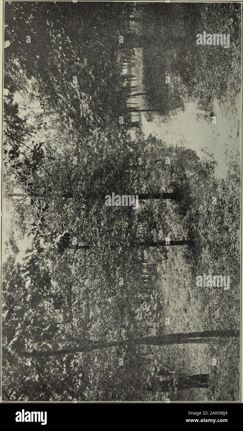 Thomas craddock hi-res stock photography and images - Alamy