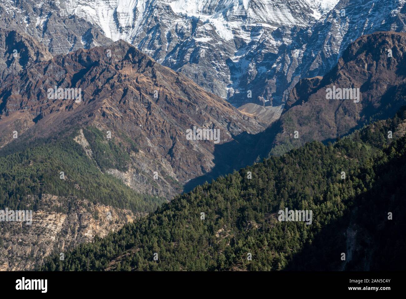 The beautiful Pine Covered Hills and Deep Valleys in the Himalaya Mountains of Nepal on the ...